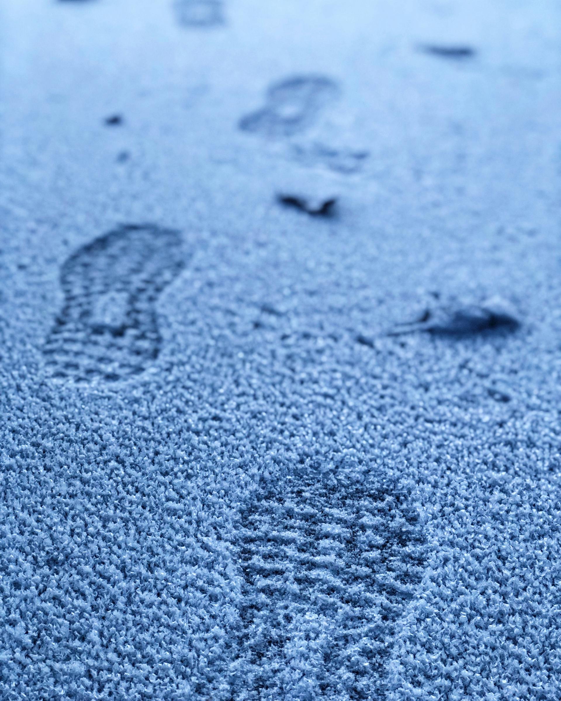 A Guide to Ethical Footprinting in CyberSecurity - Anto ./online